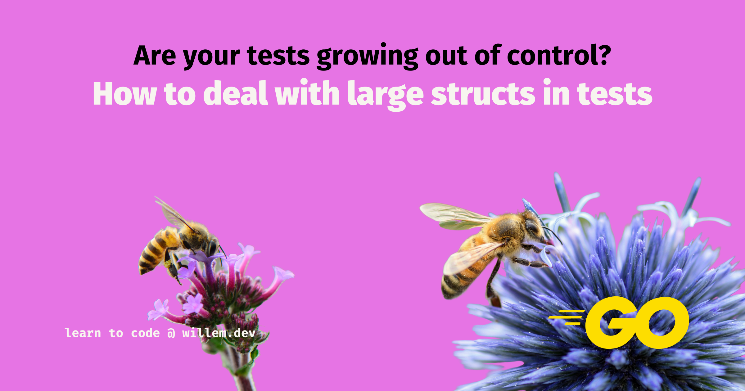 Dealing With Large Structs In Table Tests In Gogolang